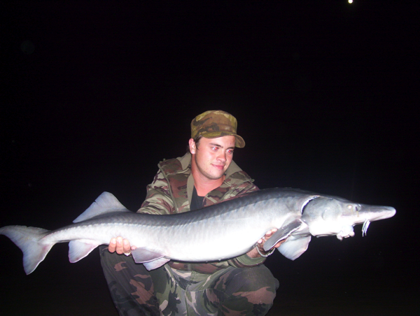 Hardcore, Engelse visserij in Nederland - KWO