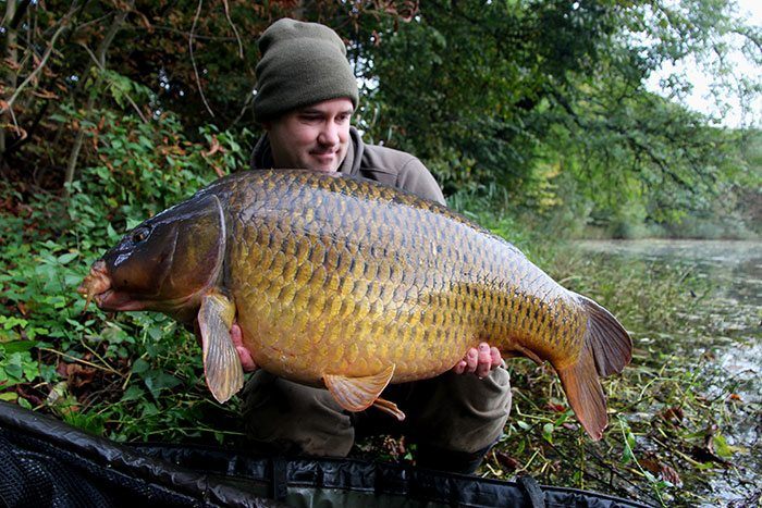 Het Puzzeljaar van Wesley Smits - KWO